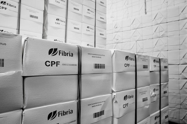 Greendocs na nova fábrica da Fibria - Baguete