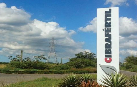 Cibrafértil: Teclógica para monitoramento - Baguete