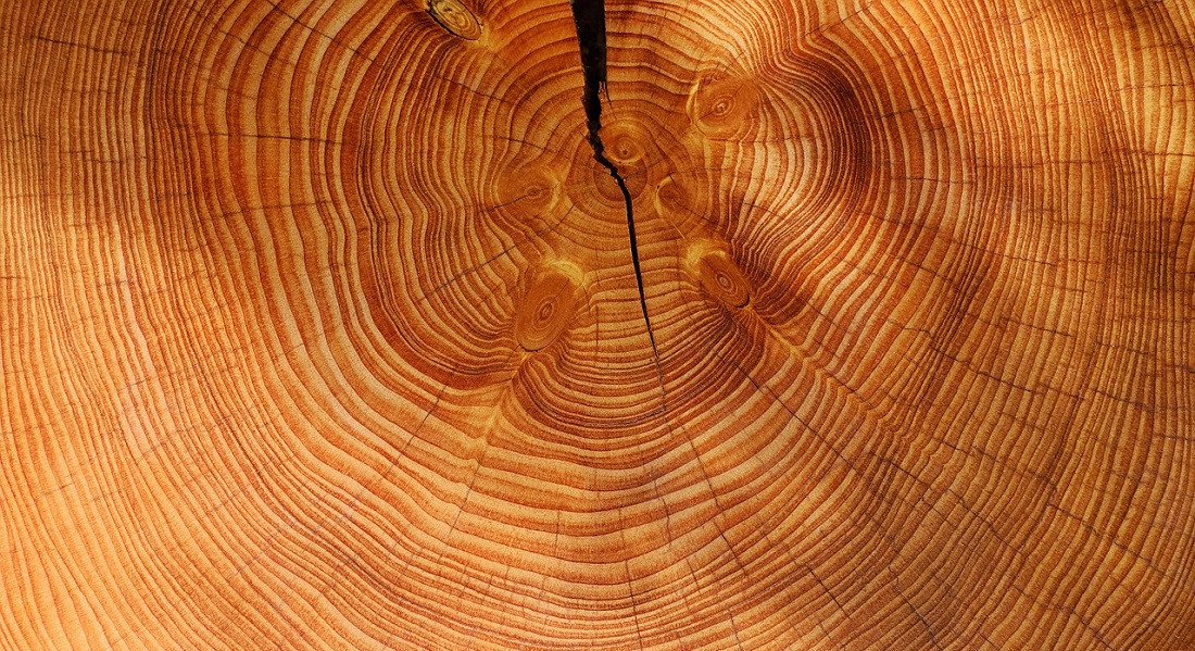 Berneck usa Pipefy para agilizar vendas - Baguete