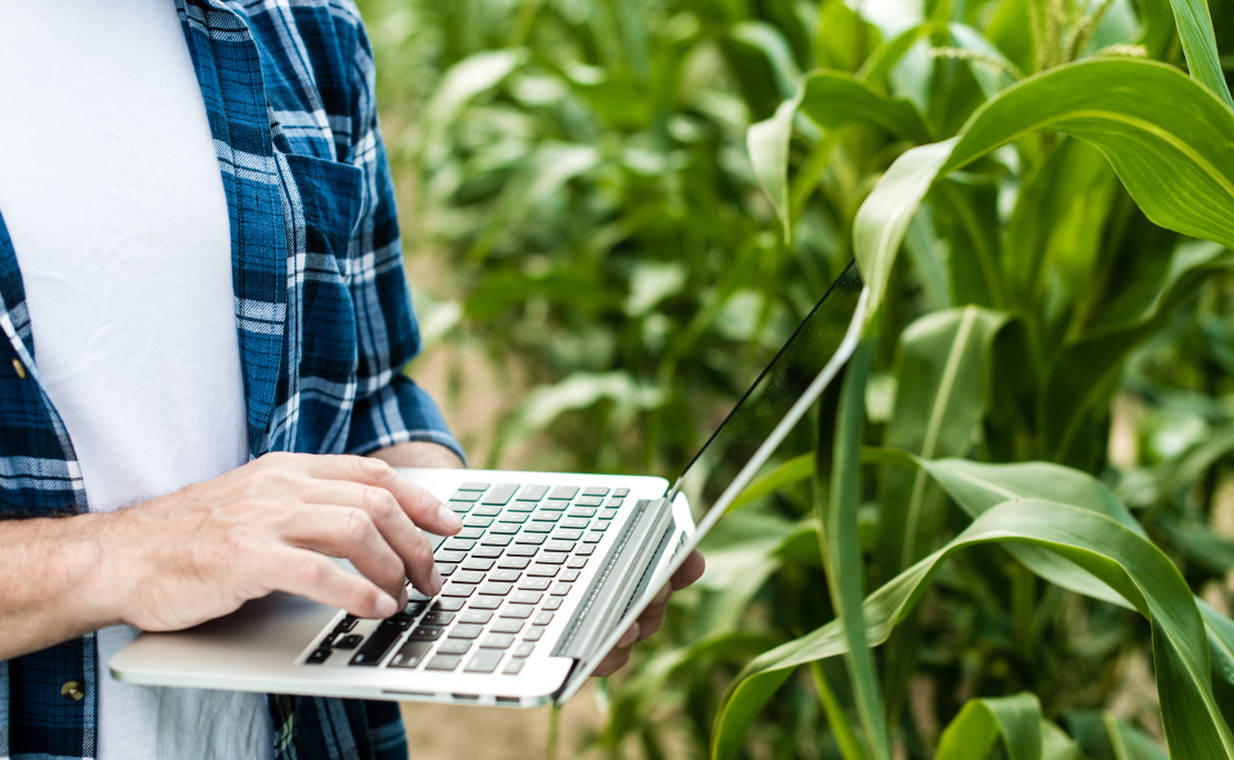 Grupo Stracci adota 4G da TIM - Baguete