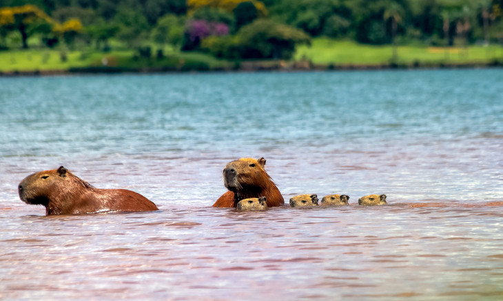 HireRight compra BGC Brasil - Baguete